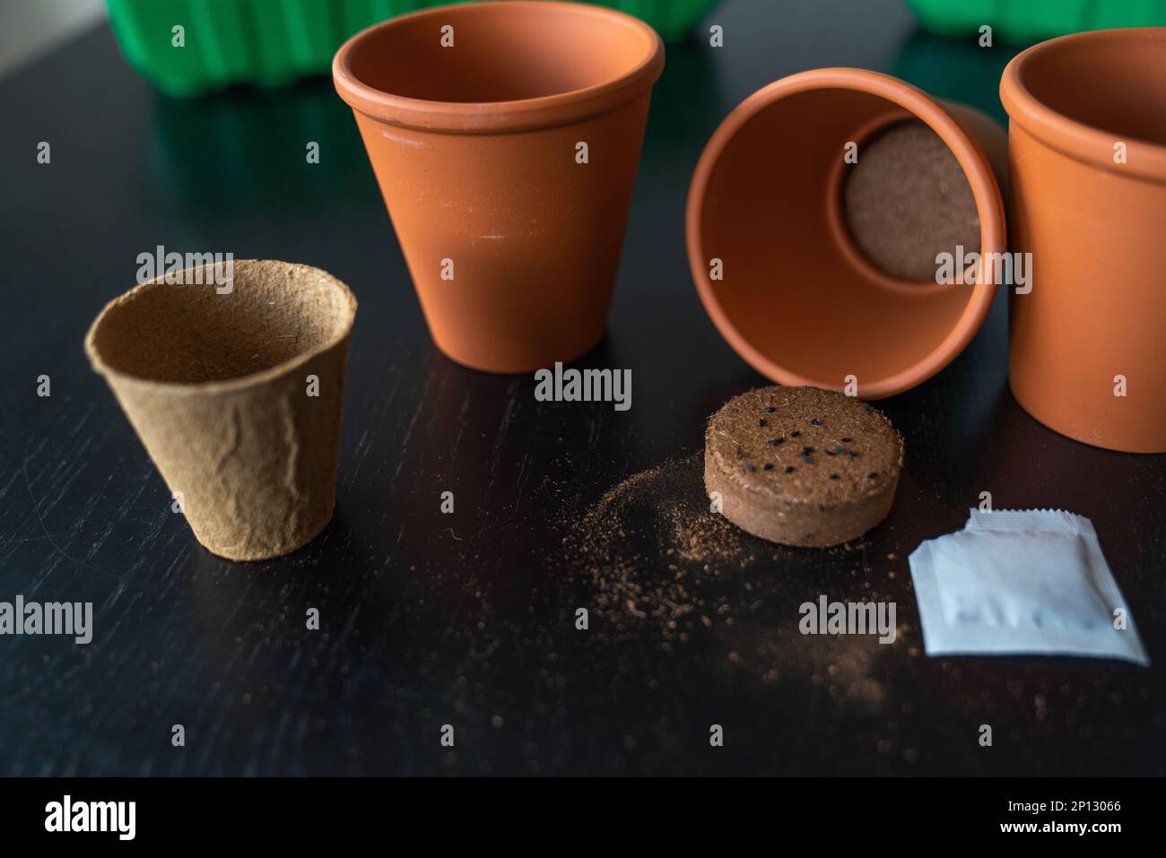 Planting seeds windowsill hi-res stock photography and images - Alamy