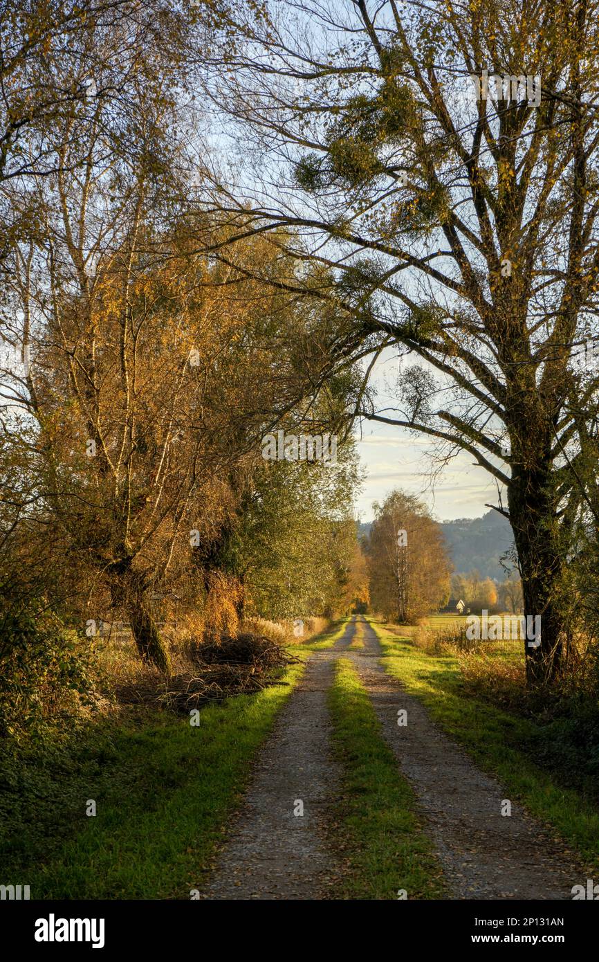 Straight gravel path hi-res stock photography and images - Alamy
