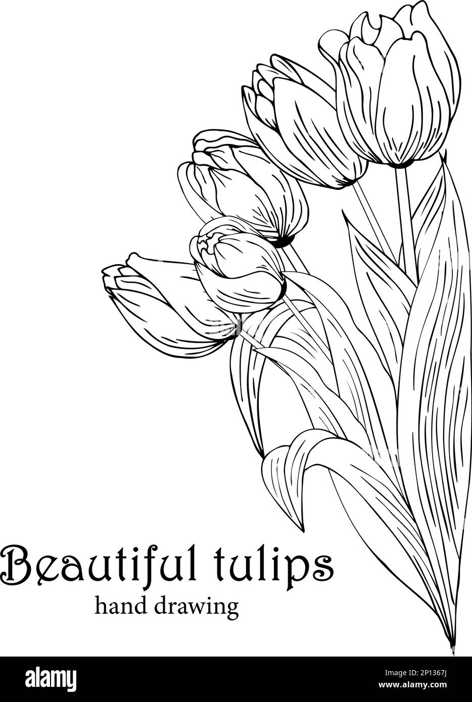 Floral floral background with tulips. Hand drawing Stock Vector Image ...
