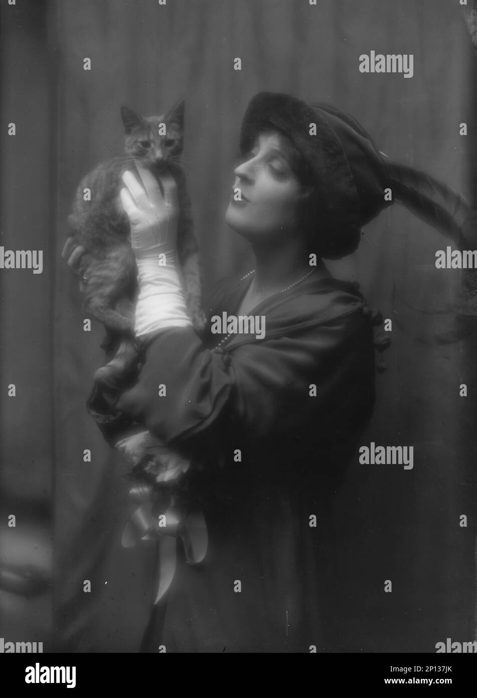 Cowl, Jane, Miss, with Buzzer the cat, portrait photograph, between ...