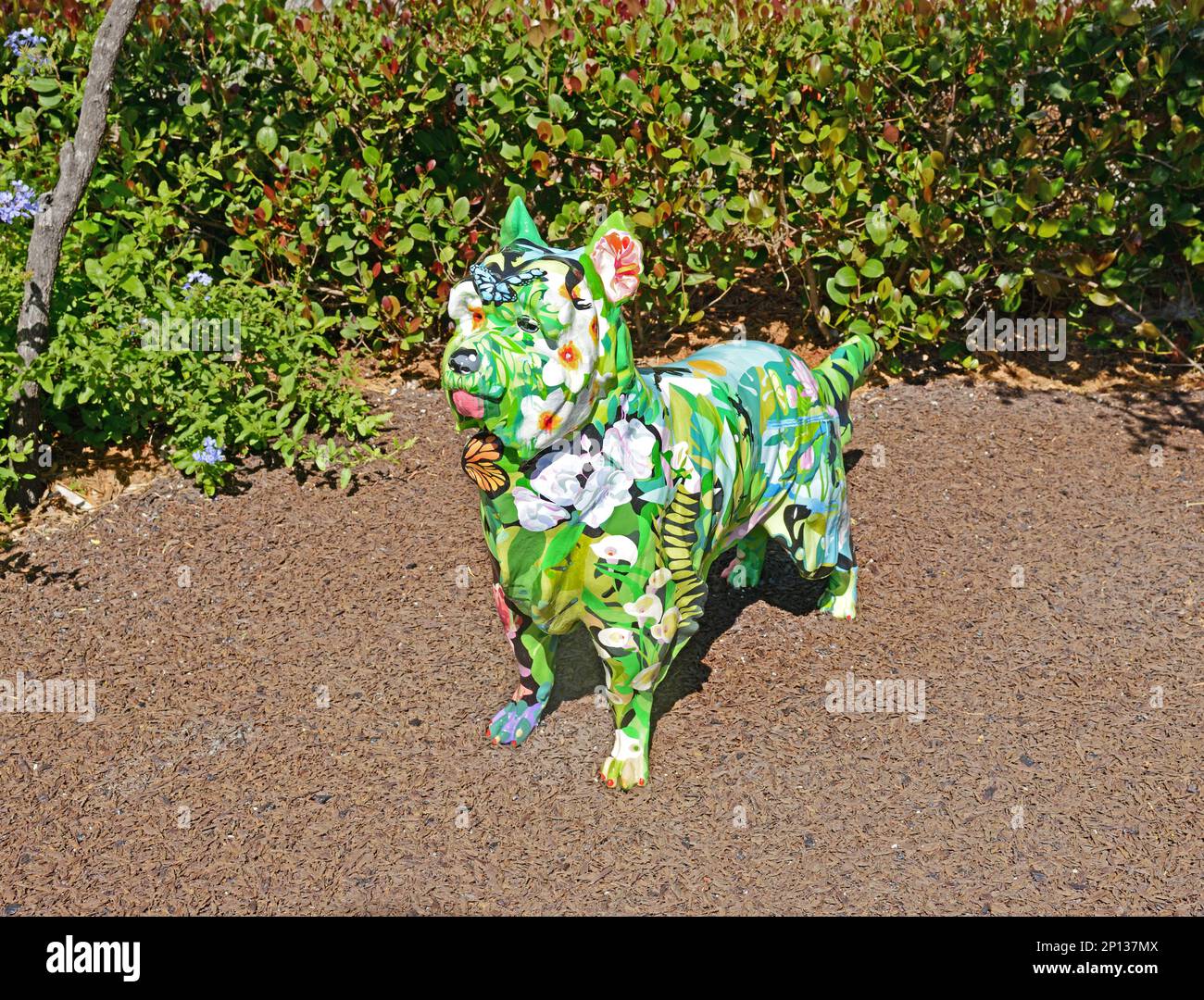 Cheerful dog with flowers and butterflies. Dogs and Cats Walkway and ...