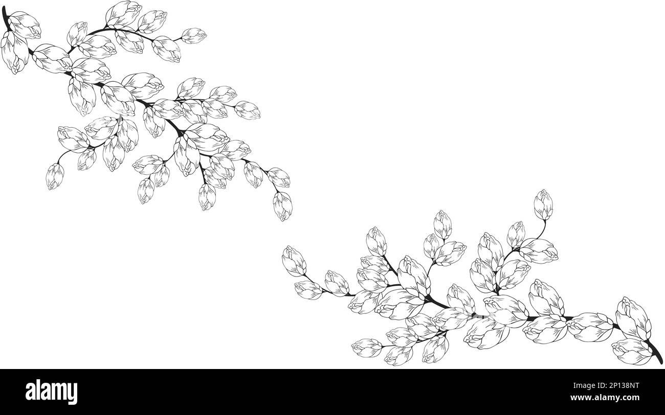 A beautiful blooming branch, richly decorated with flowers, buds, and ...