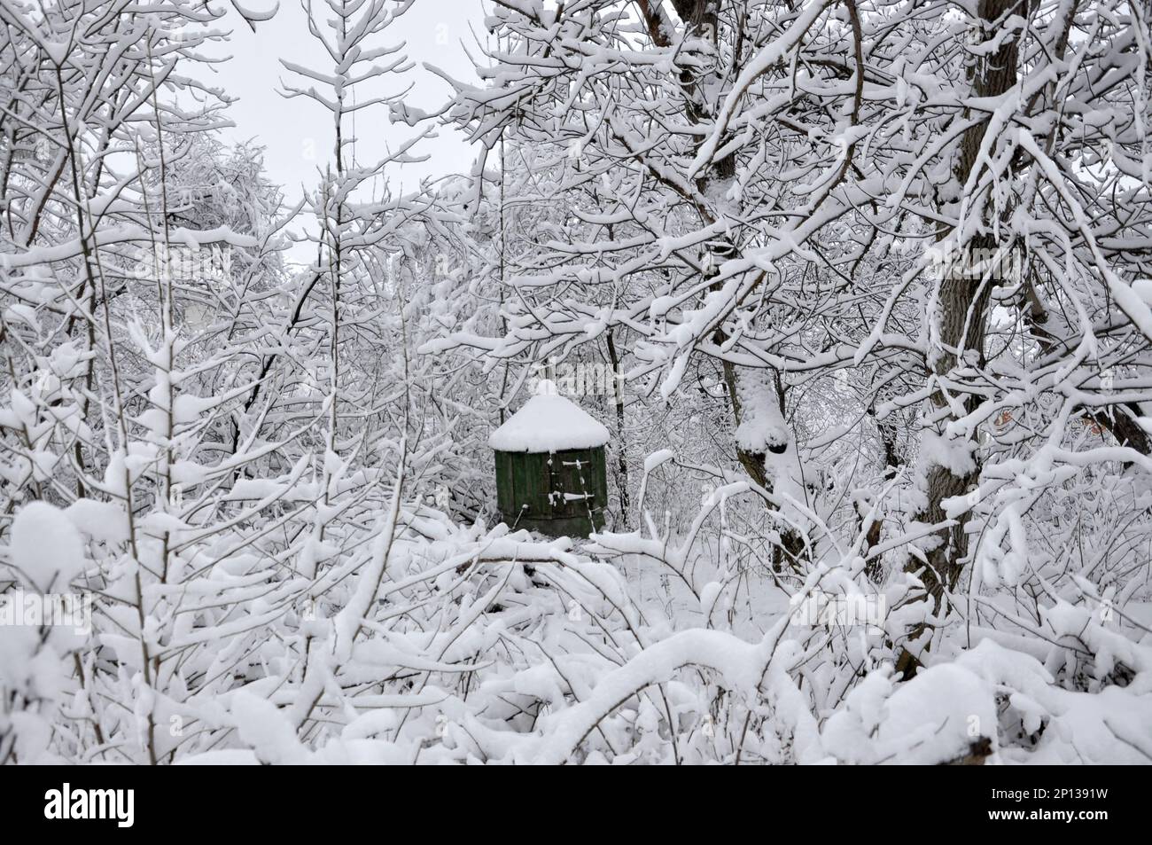 Beginning winter hi-res stock photography and images - Alamy