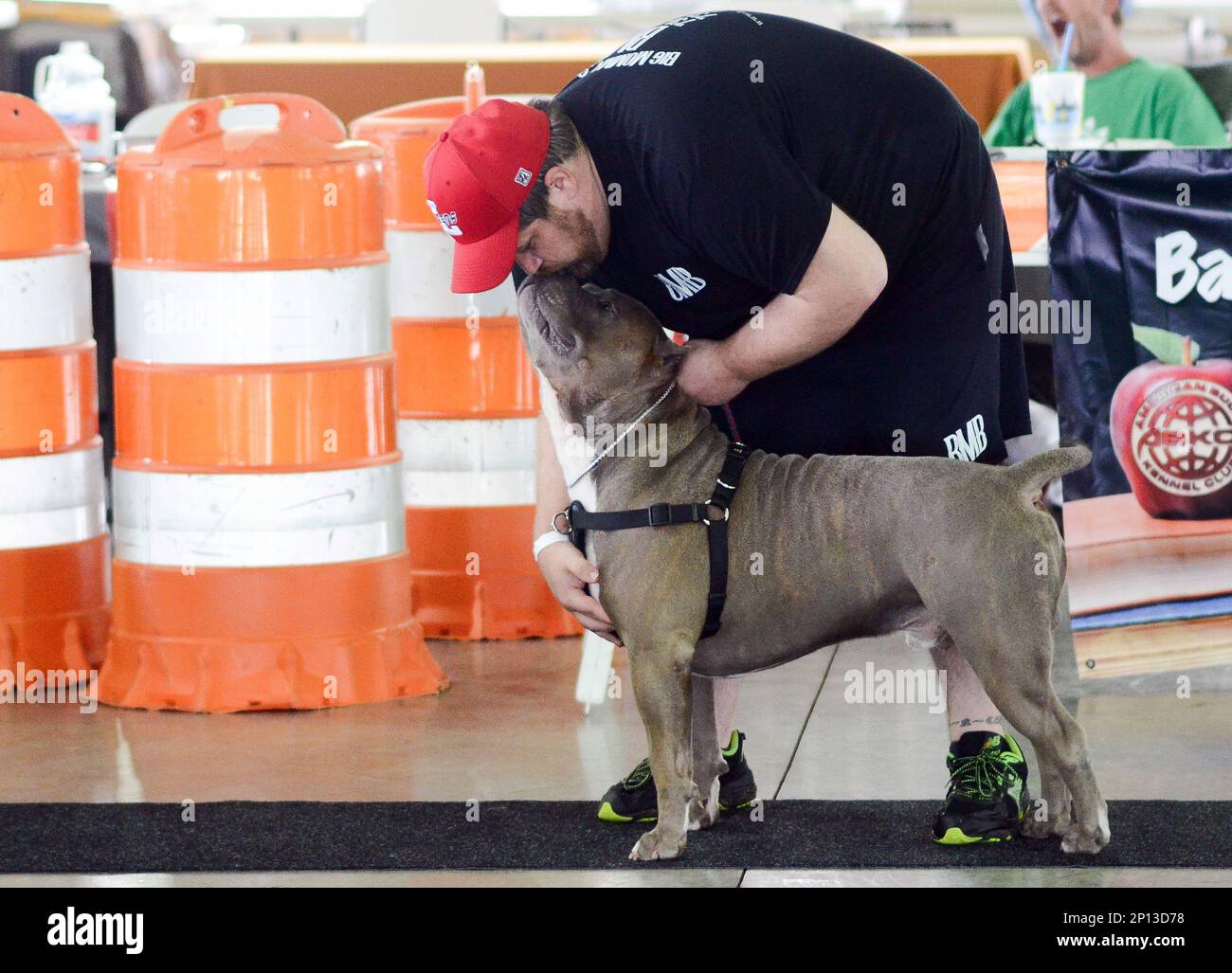 Josh Pratt gives his American Bulldog "Bugatti" a little affection ...