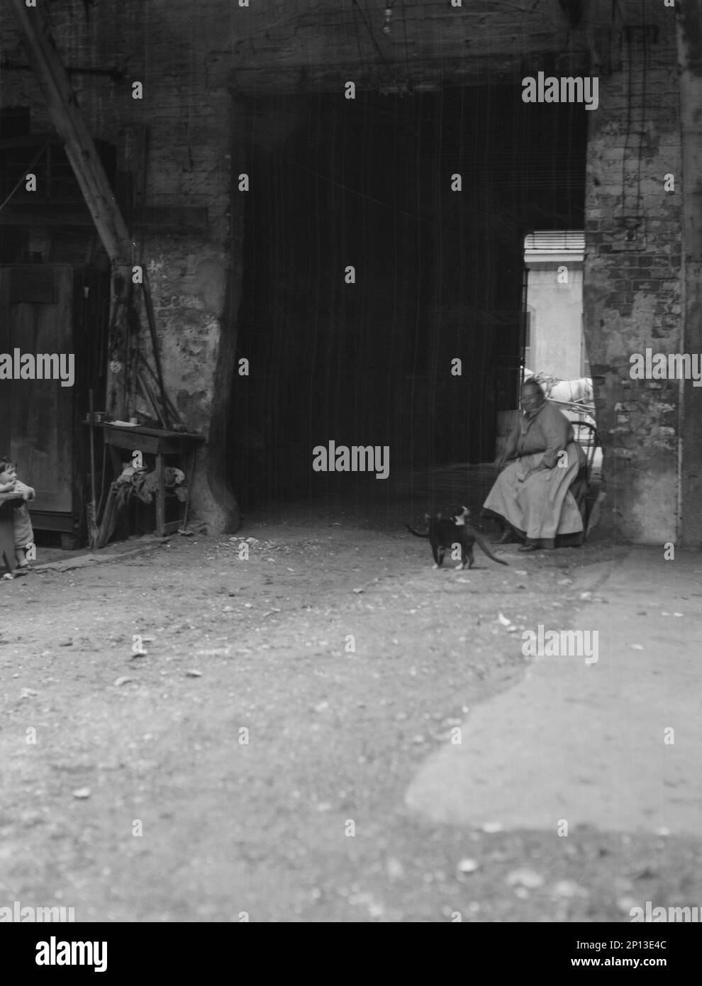 Woman and cats in a courtyard, New Orleans, between 1920 and 1926 Stock ...