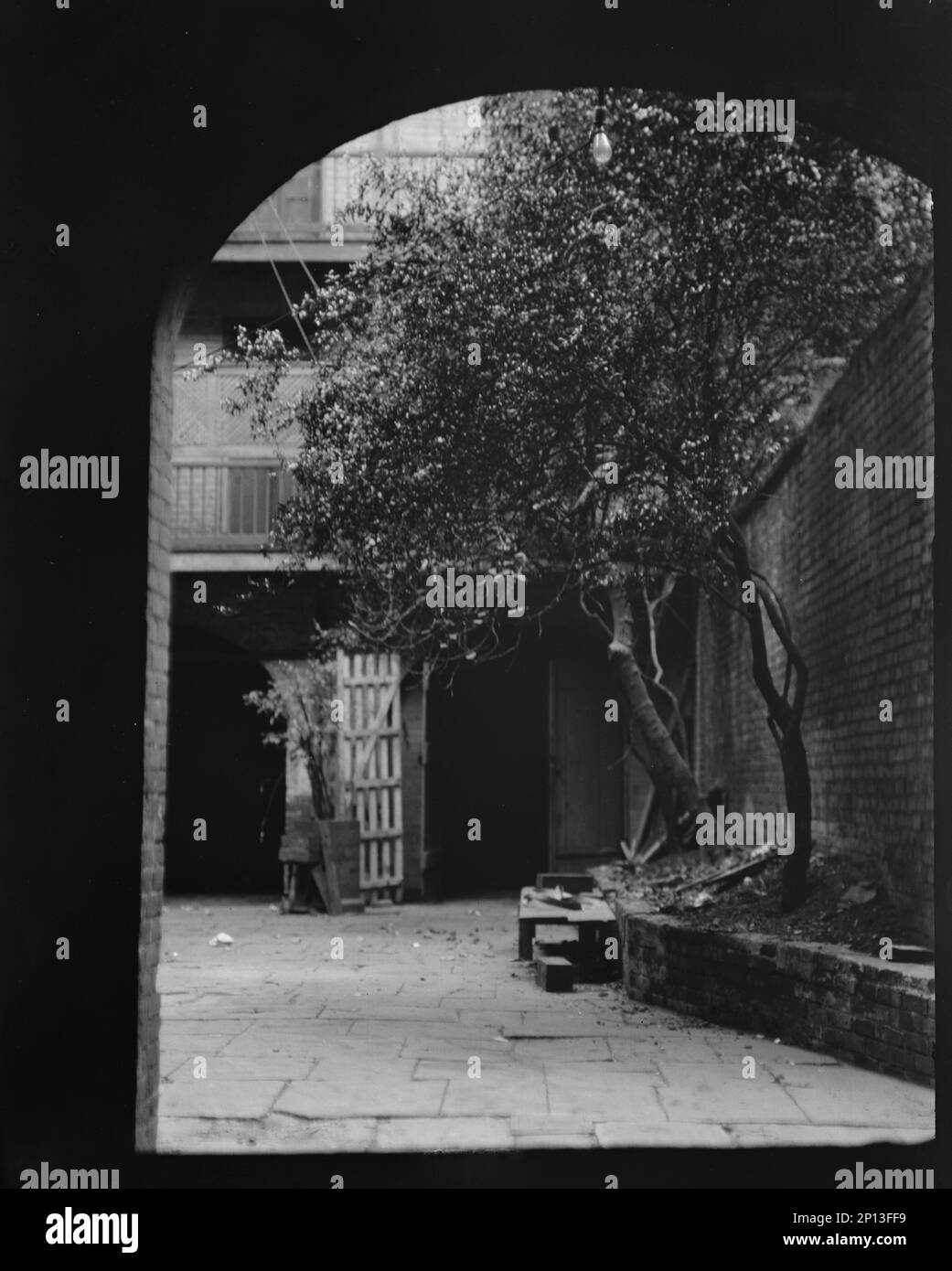 Courtyard, New Orleans, between 1920 and 1926 Stock Photo - Alamy