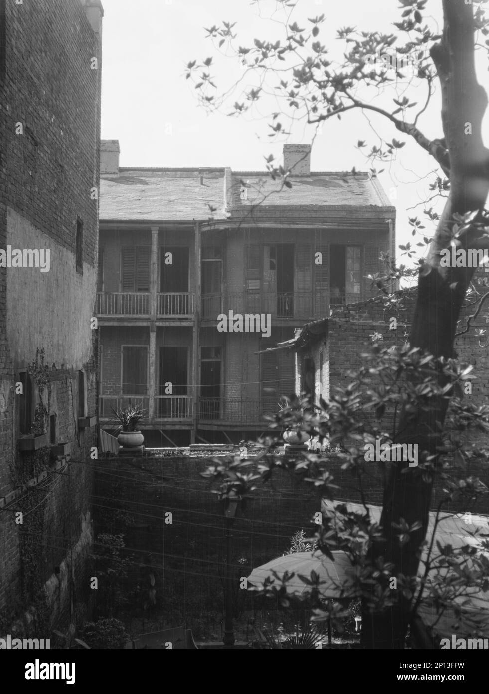 Courtyard, New Orleans, between 1920 and 1926 Stock Photo - Alamy