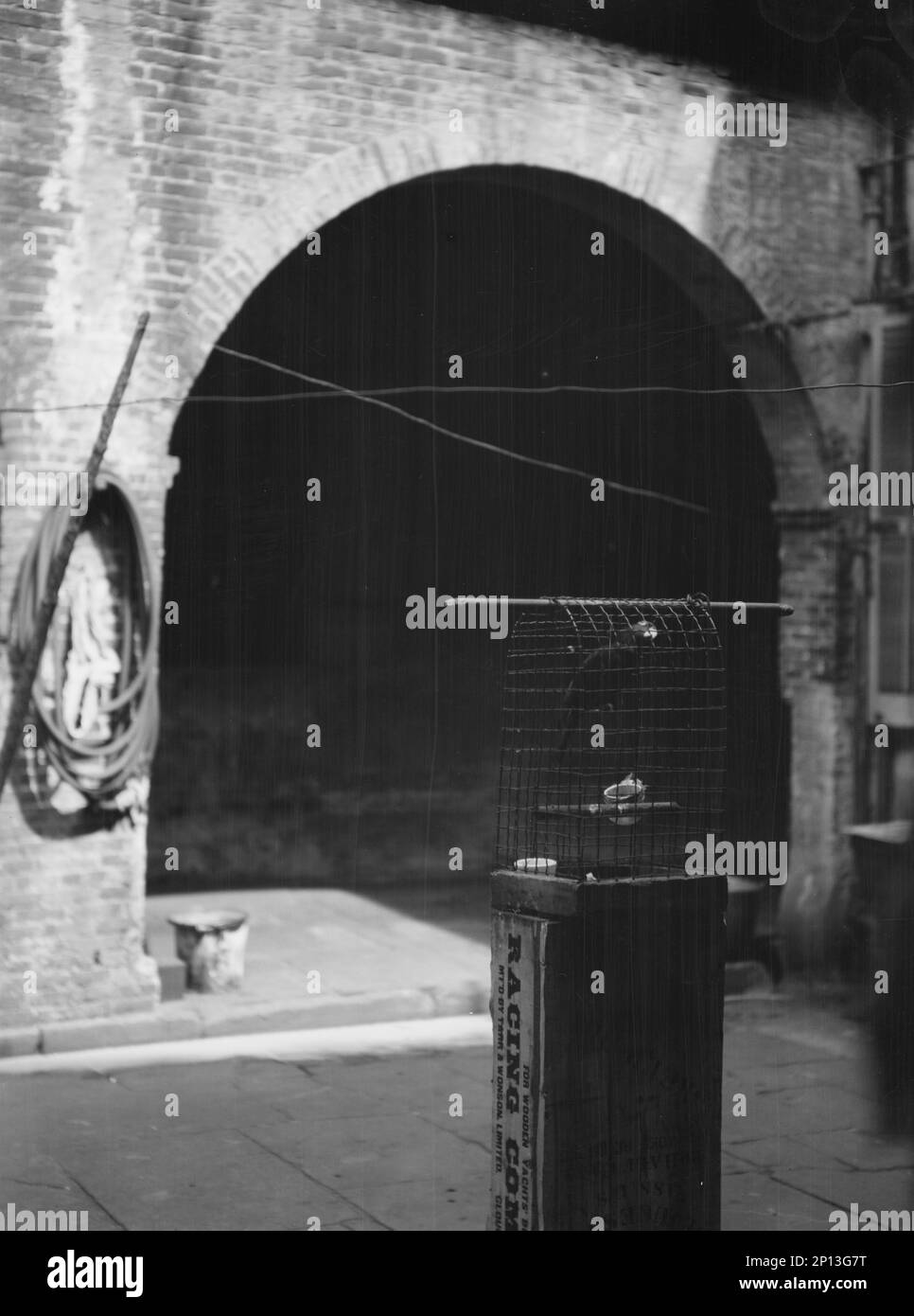 Courtyard, New Orleans, between 1920 and 1926 Stock Photo - Alamy