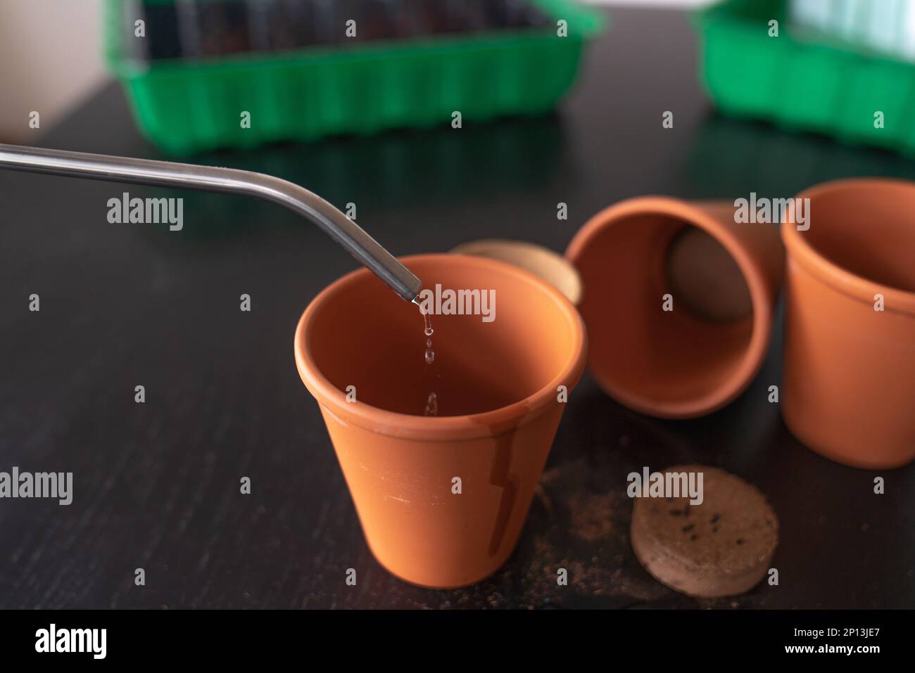 Watering can spout with water dripping into a pot of soil Stock Photo ...