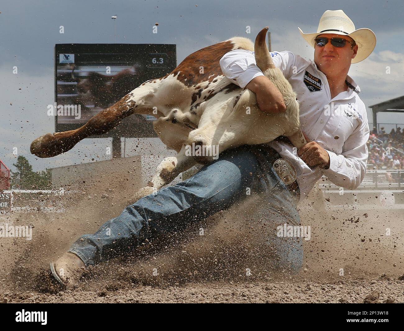 J.D. Struxness of Appleton, Minn., brings down his steer in the steer ...
