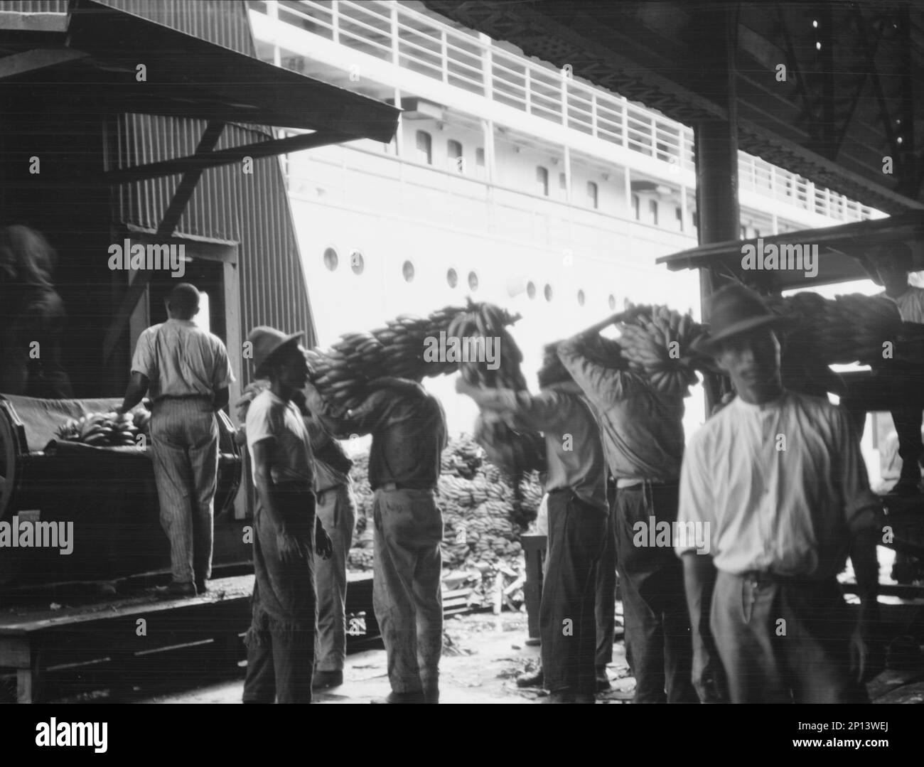 Unloading bananas, New Orleans, between 1920 and 1926 Stock Photo - Alamy