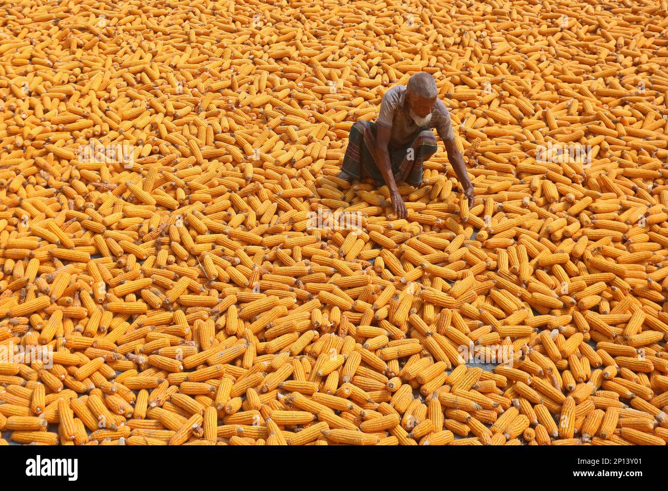 Dhaka, Bangladesh. 03rd Mar, 2023. Many farmers from Sariakandi ...