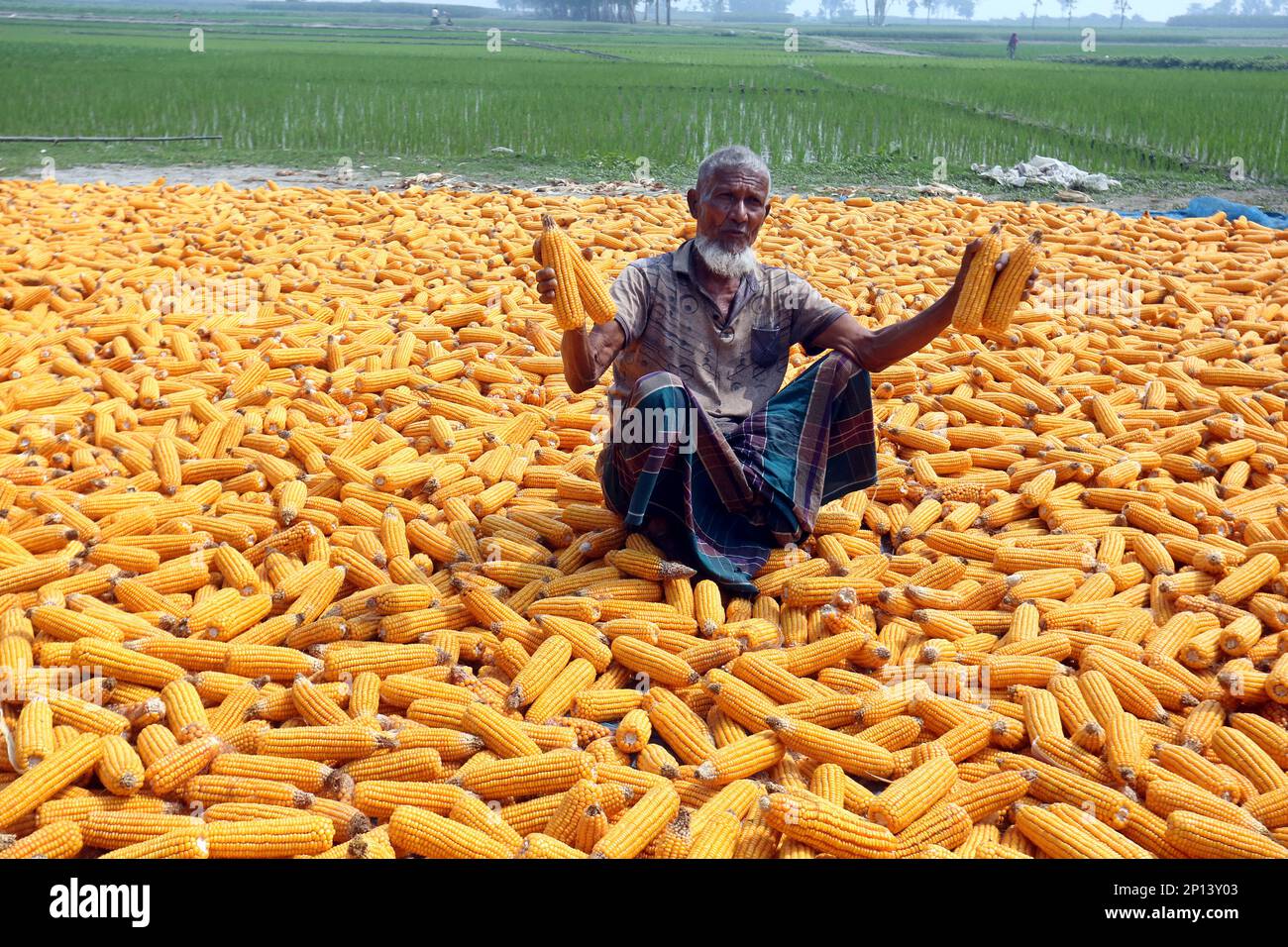 Dhaka, Bangladesh. 03rd Mar, 2023. Many farmers from Sariakandi ...