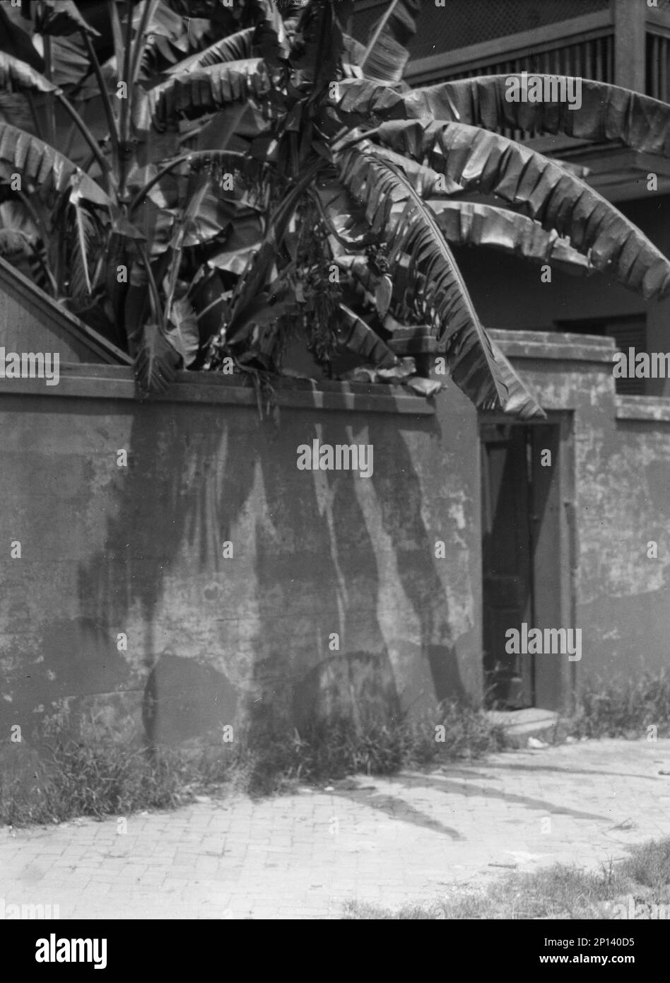 Wall with a doorway to a courtyard and a house, New Orleans, between ...
