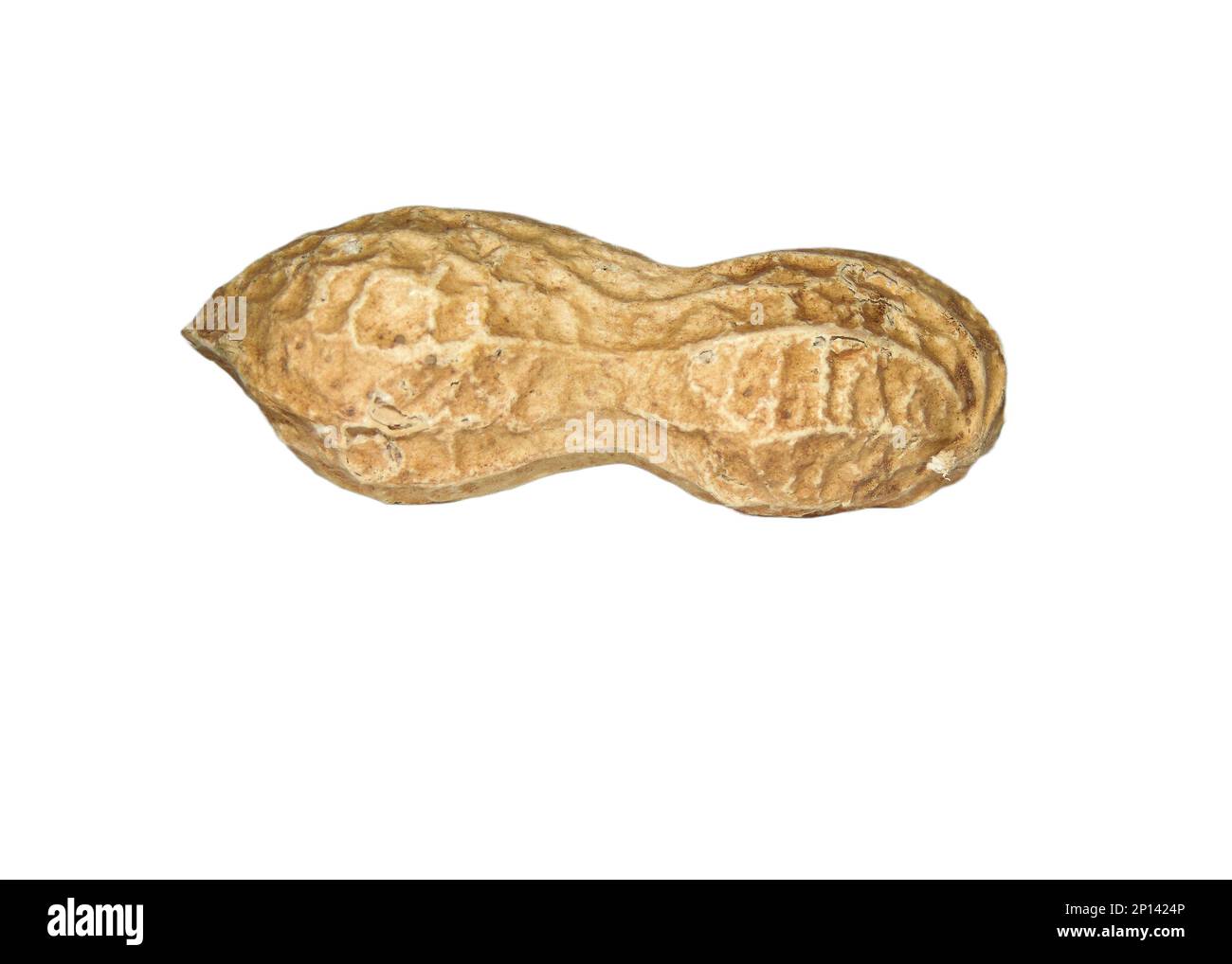 Peanuts in shell isolated on white background Stock Photo - Alamy