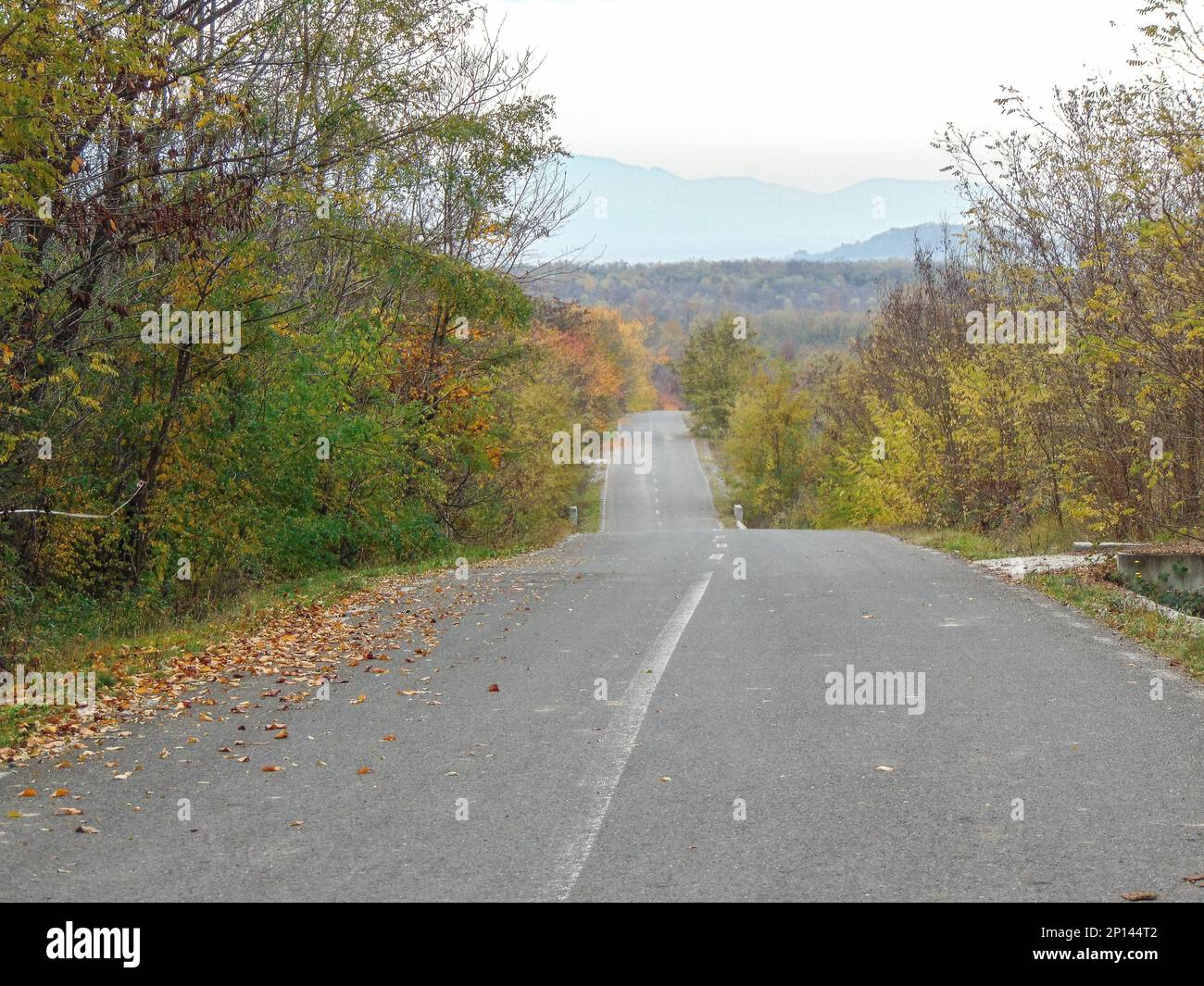Road and trees in november in Maramures county, Romania Stock Photo - Alamy