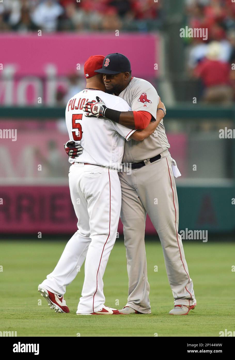 28 July 2016: Los Angeles Angels of Anaheim Designated hitter Albert ...