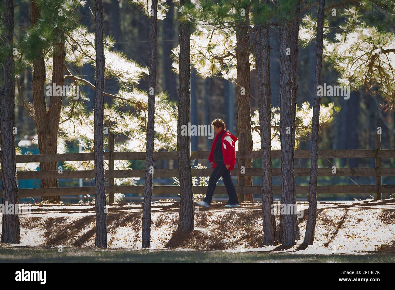 In this Jan. 26, 2011 photo, USA Gymnastics national team coordinator ...