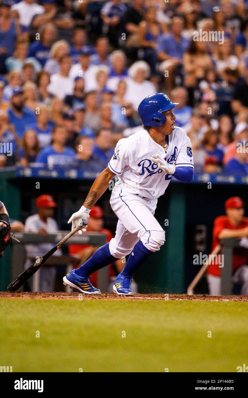 Kansas City Royals Raul Mondesi watches a hit as he bats during a MLB ...