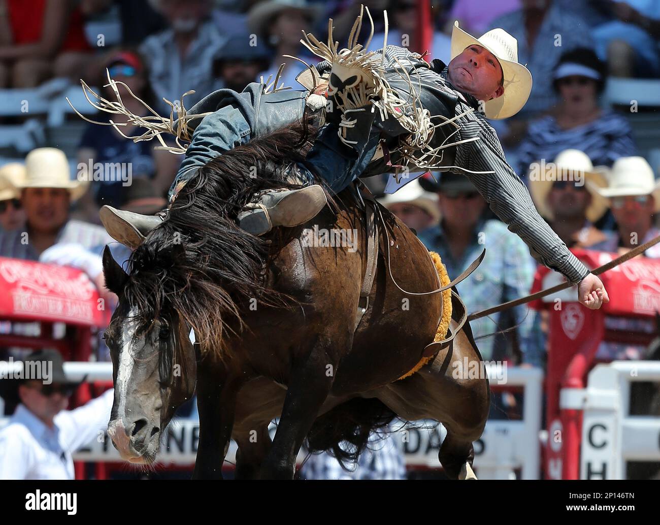 Colt Kitaif of Tylertown, Miss., competes in the bareback event during ...