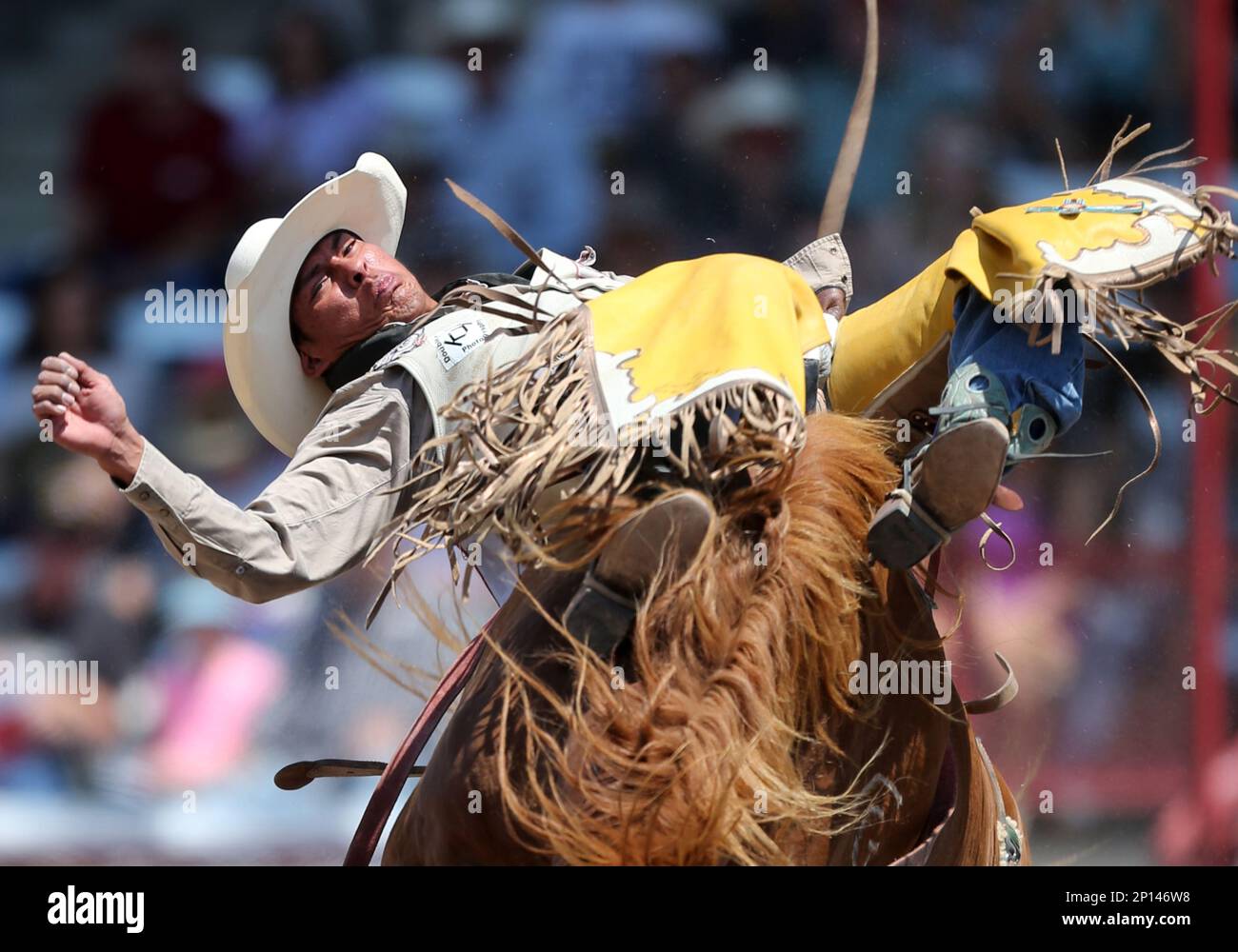 Kyle Charley of Lukachukai, Ariz., competes in the bareback event ...
