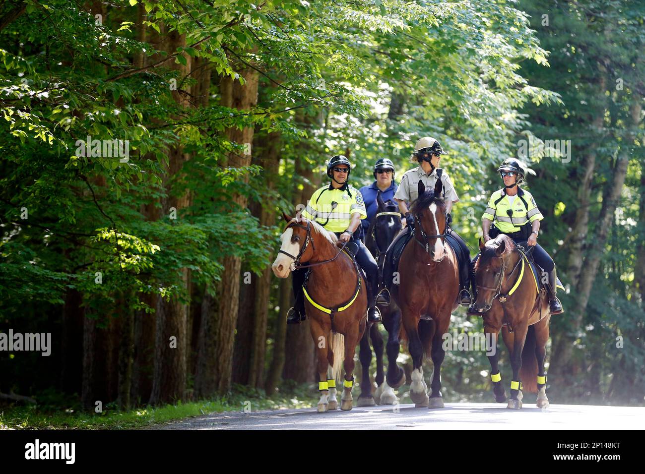 The Berkshire County Sheriff's Department Mounted Unit and the ...