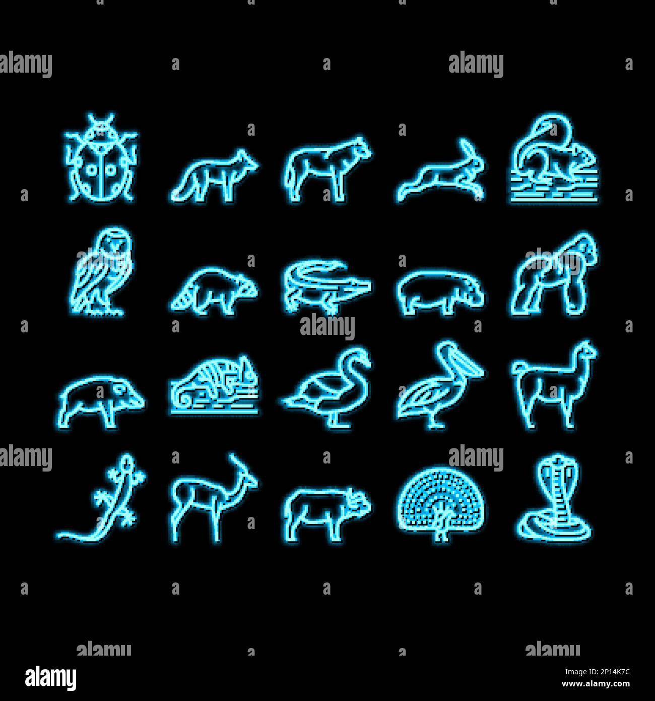 Wild Animals, Bugs And Birds neon glow icon illustration Stock Vector ...