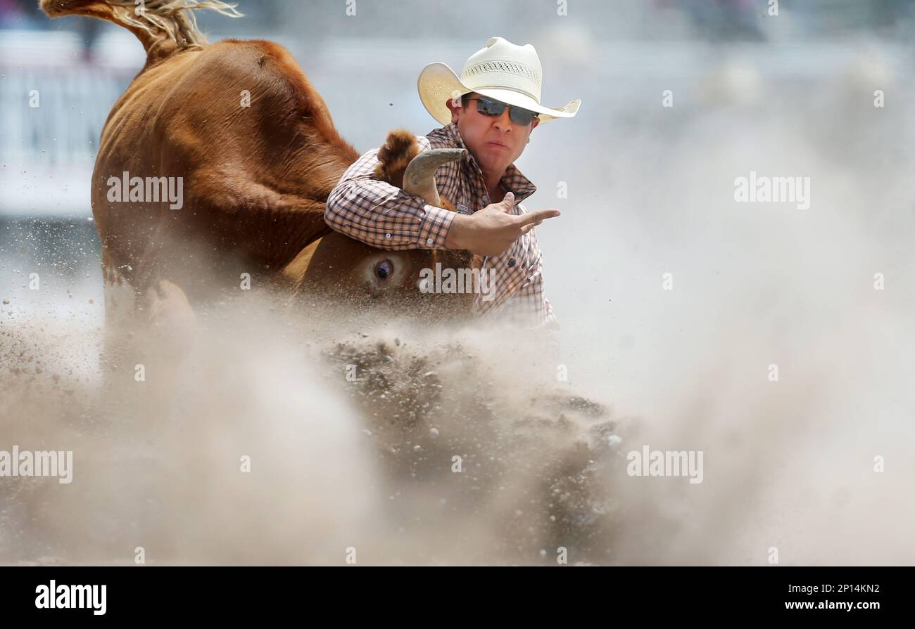 Cameron Morman, of Glenullin, N.D., brings down his steer in a cloud of ...