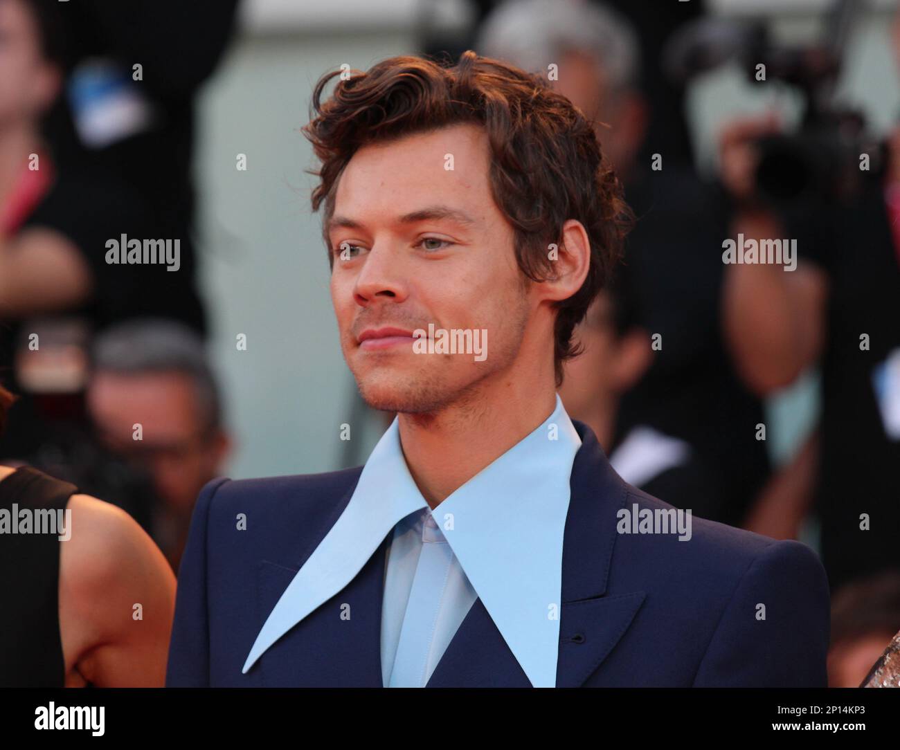 Harry Styles red carpet Venice film festival 2022 "Don't worry darling ...