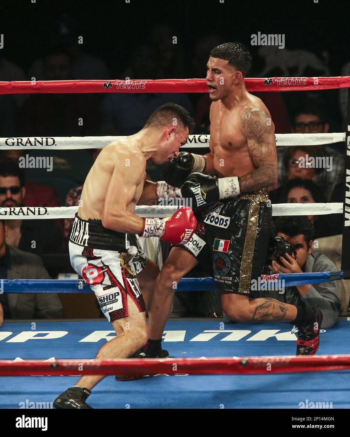 July 23, 2016 - Las Vegas, Nevada, U.S - Jose Benavidez, Jr. fights ...