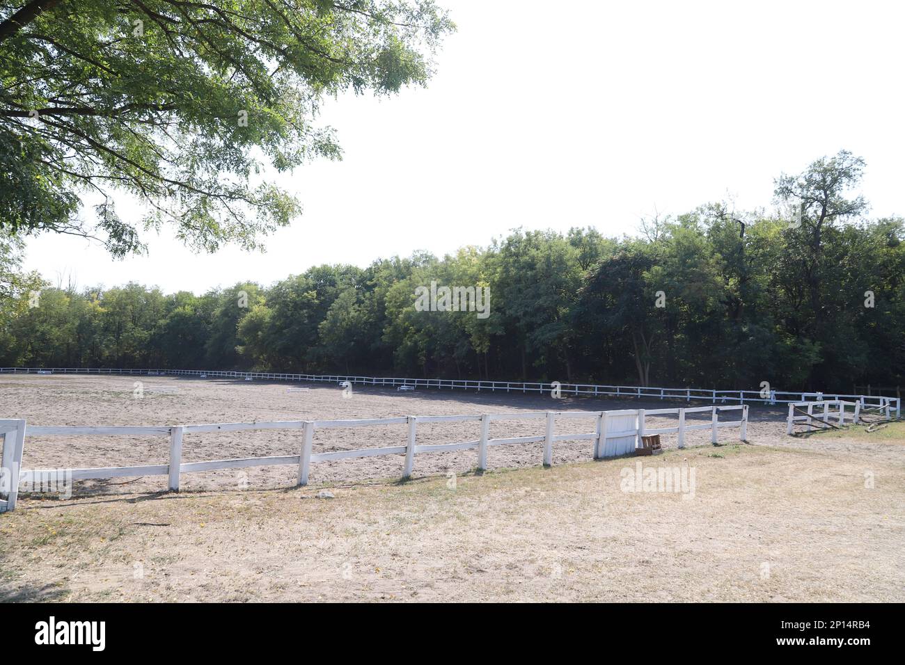 Beautiful photo of empty equestrian field for horse training ...