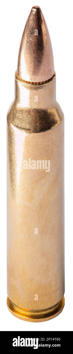 556 mm caliber ammo that is used in an AR-15 Stock Photo - Alamy