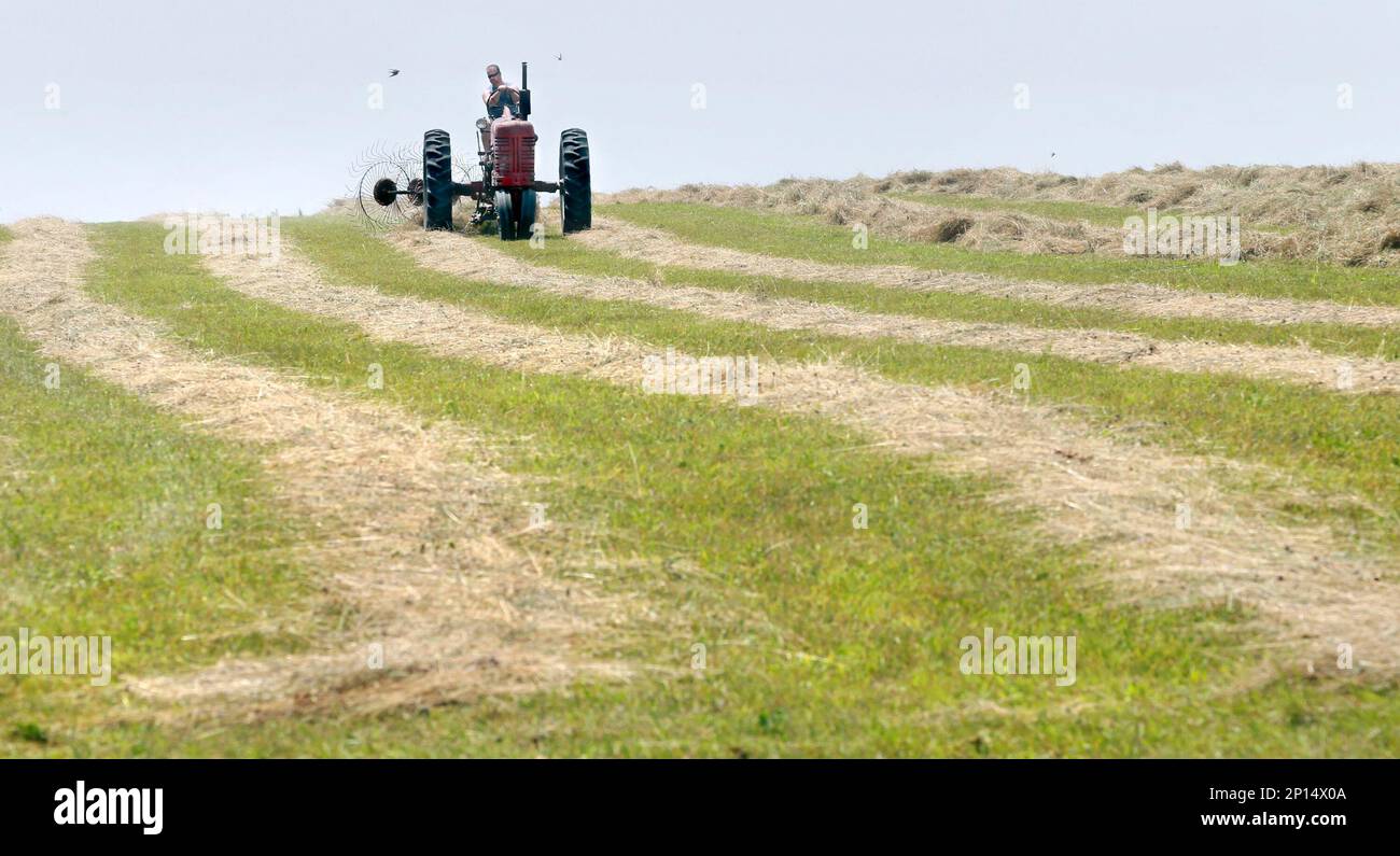 Jason Henry rakes hay in 90 degree plus heat on his family's farm near ...