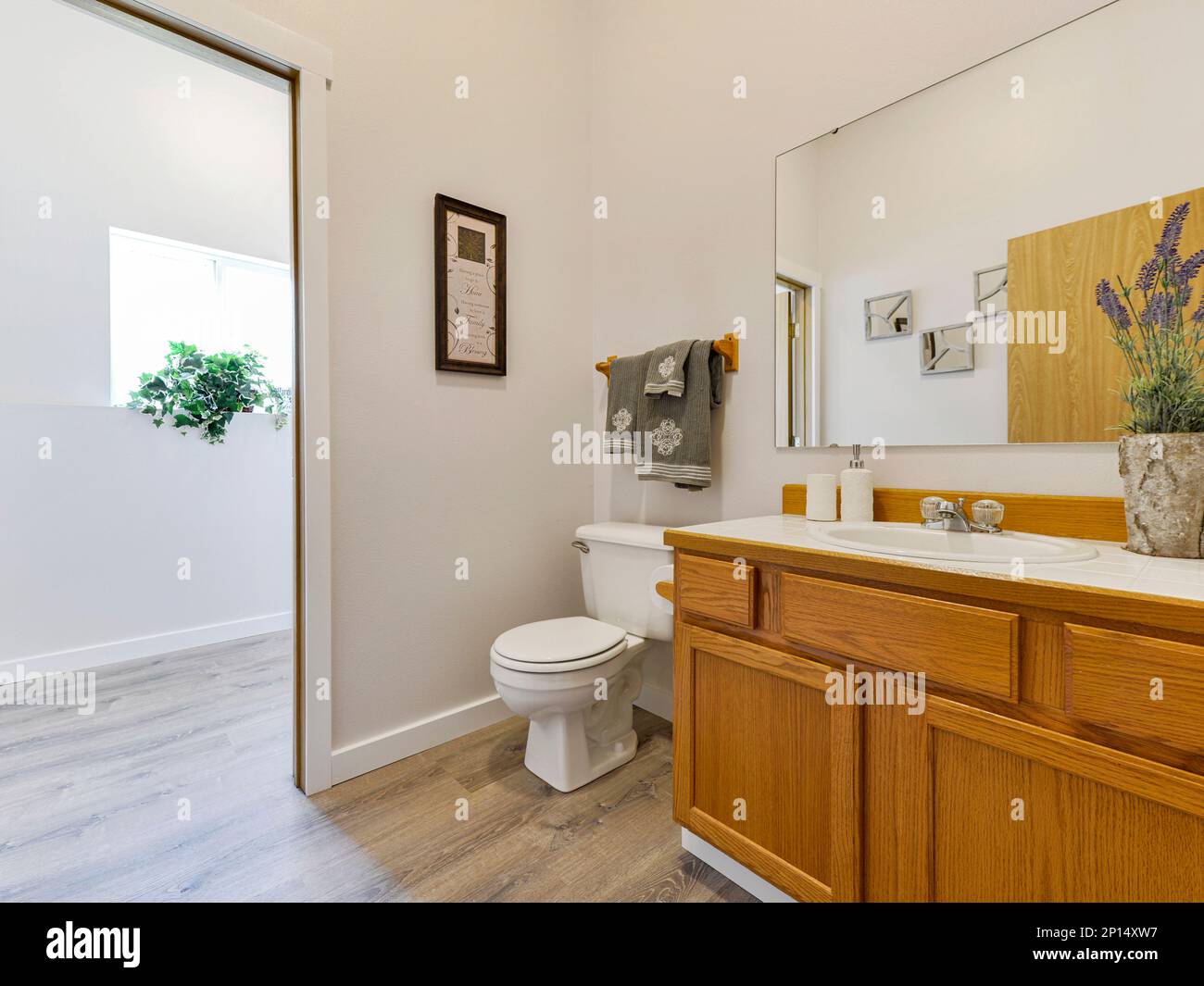 Modern residential bathroom interior Stock Photo - Alamy