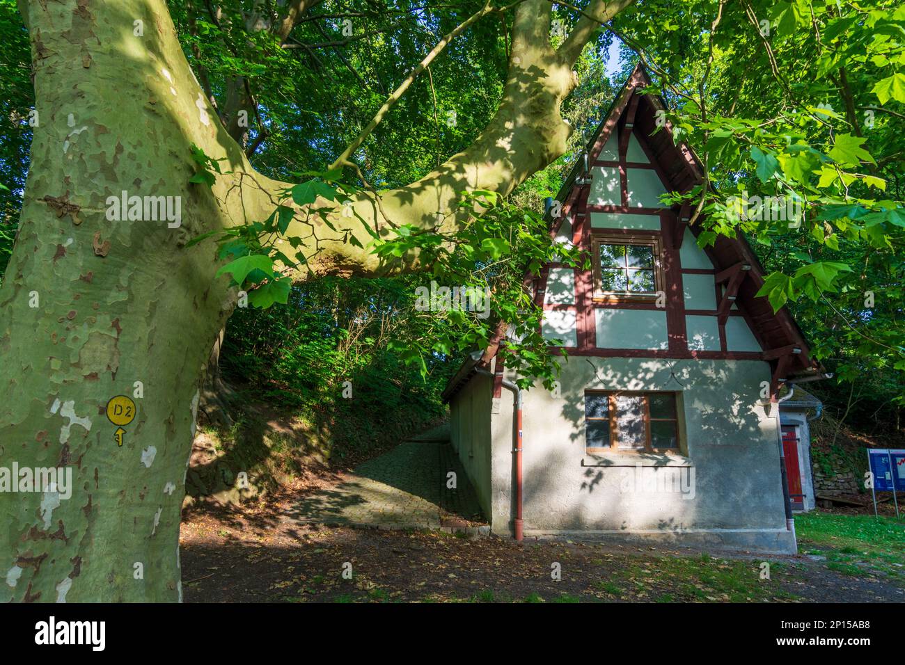 Stallgebaude stable building on schlossberg hi-res stock photography ...