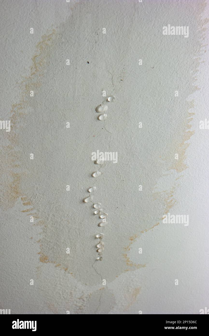 Leaky roof dampness in bedroom ceiling walls. Water droplets forming ...