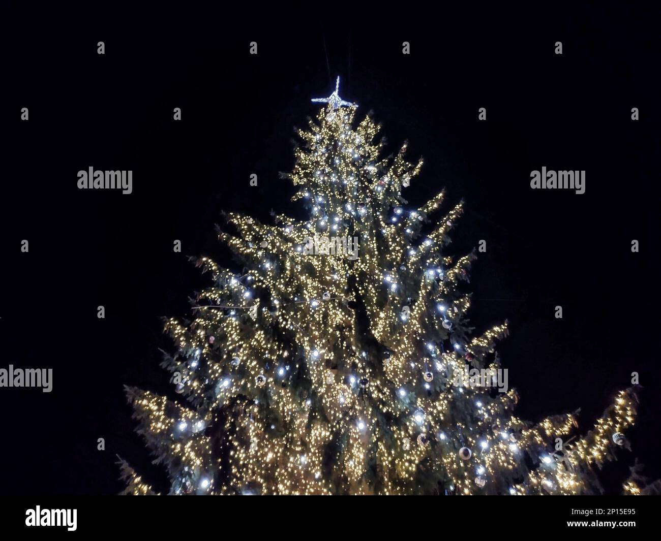 Big natural Christmas tree with lights in Baia Mare city, Romania Stock ...