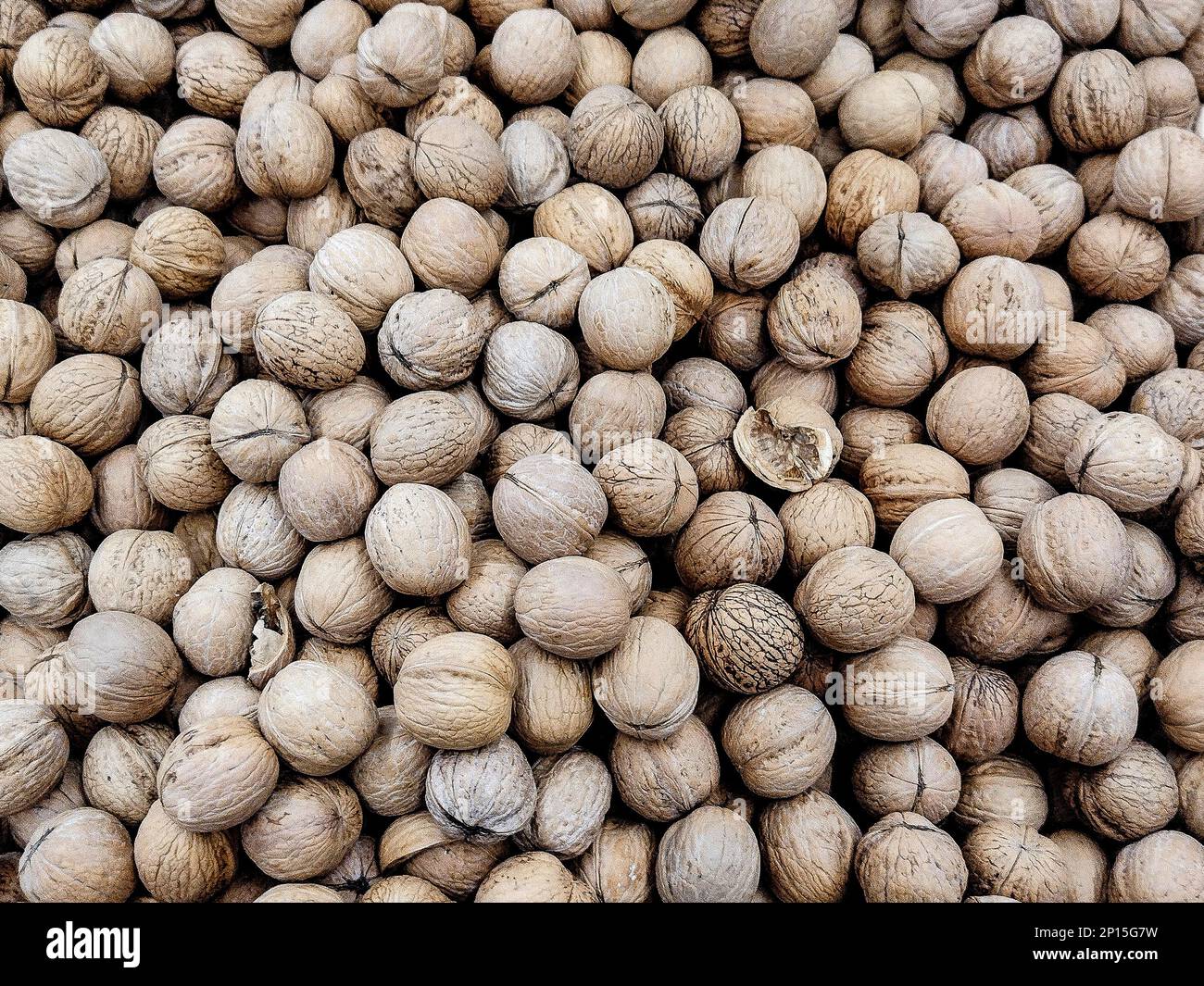Walnuts in the shell hi-res stock photography and images - Alamy
