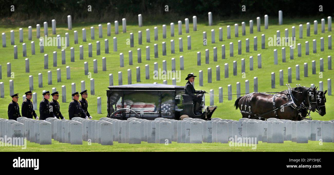 A horse drawn hearse carries the flag draped coffin of slain Dallas ...