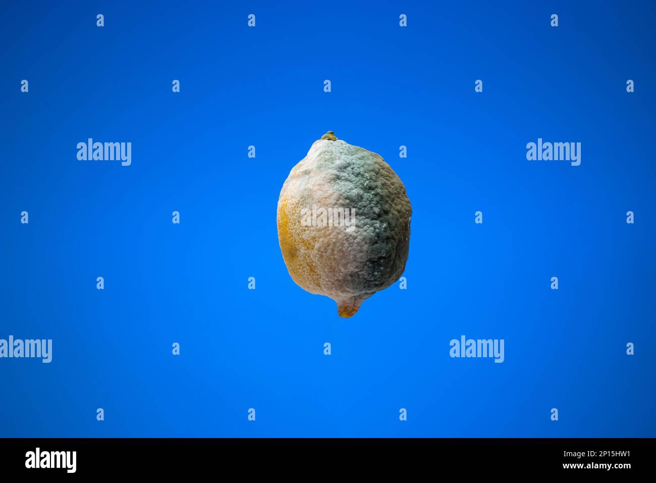 Food spoilage hi-res stock photography and images - Alamy