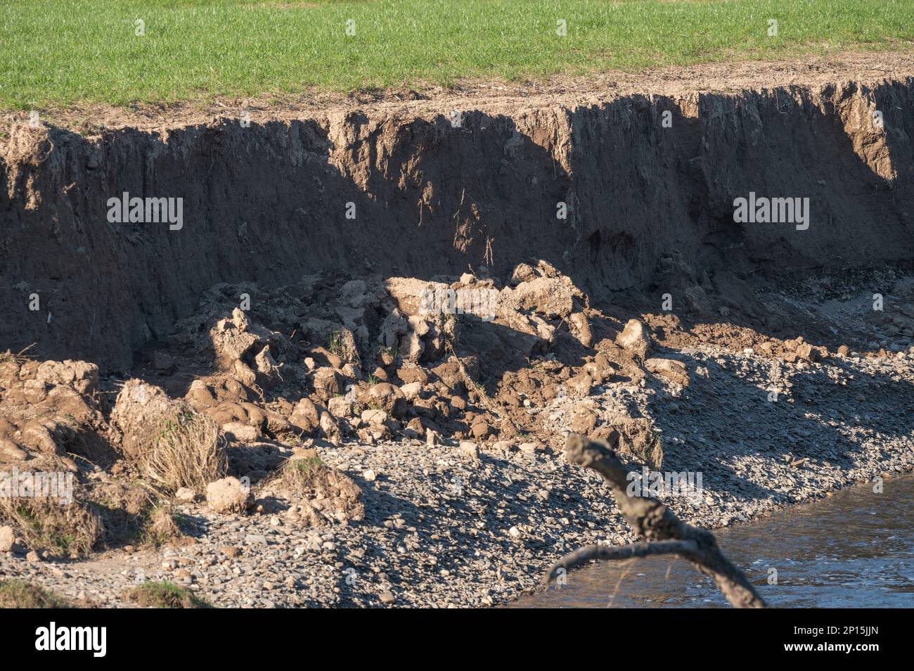 Erosion of the bank of the River Towy Stock Photo - Alamy