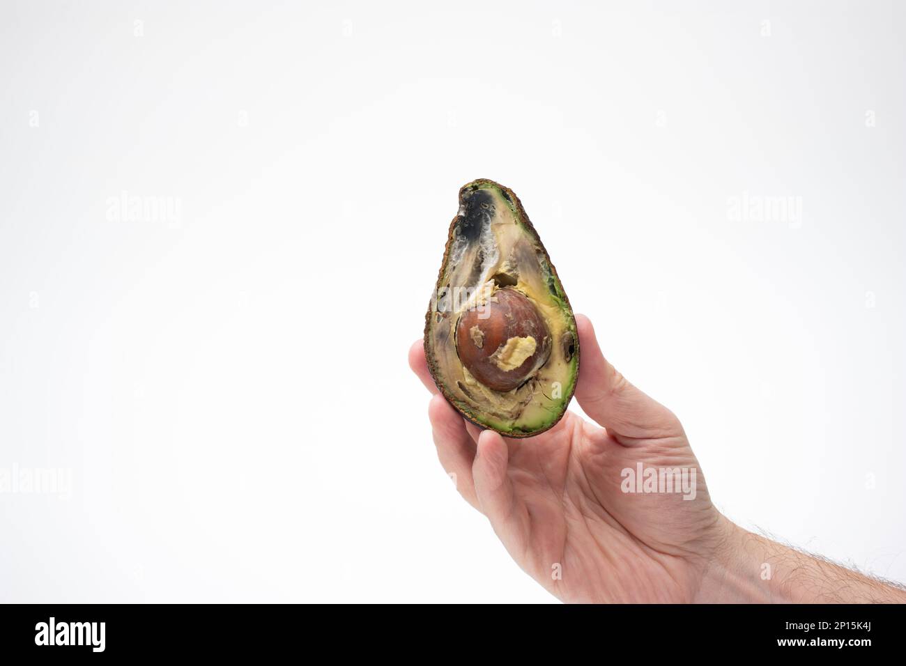 Male hand holding a spoiled rotten overripe avocado fruit cut in half ... Male hand holding a spoiled rotten overripe avocado fruit cut in half ...