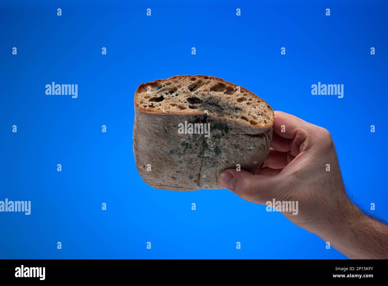 Spoiled old moldy bread loaf held in hand by Caucasian male hand. Close ...