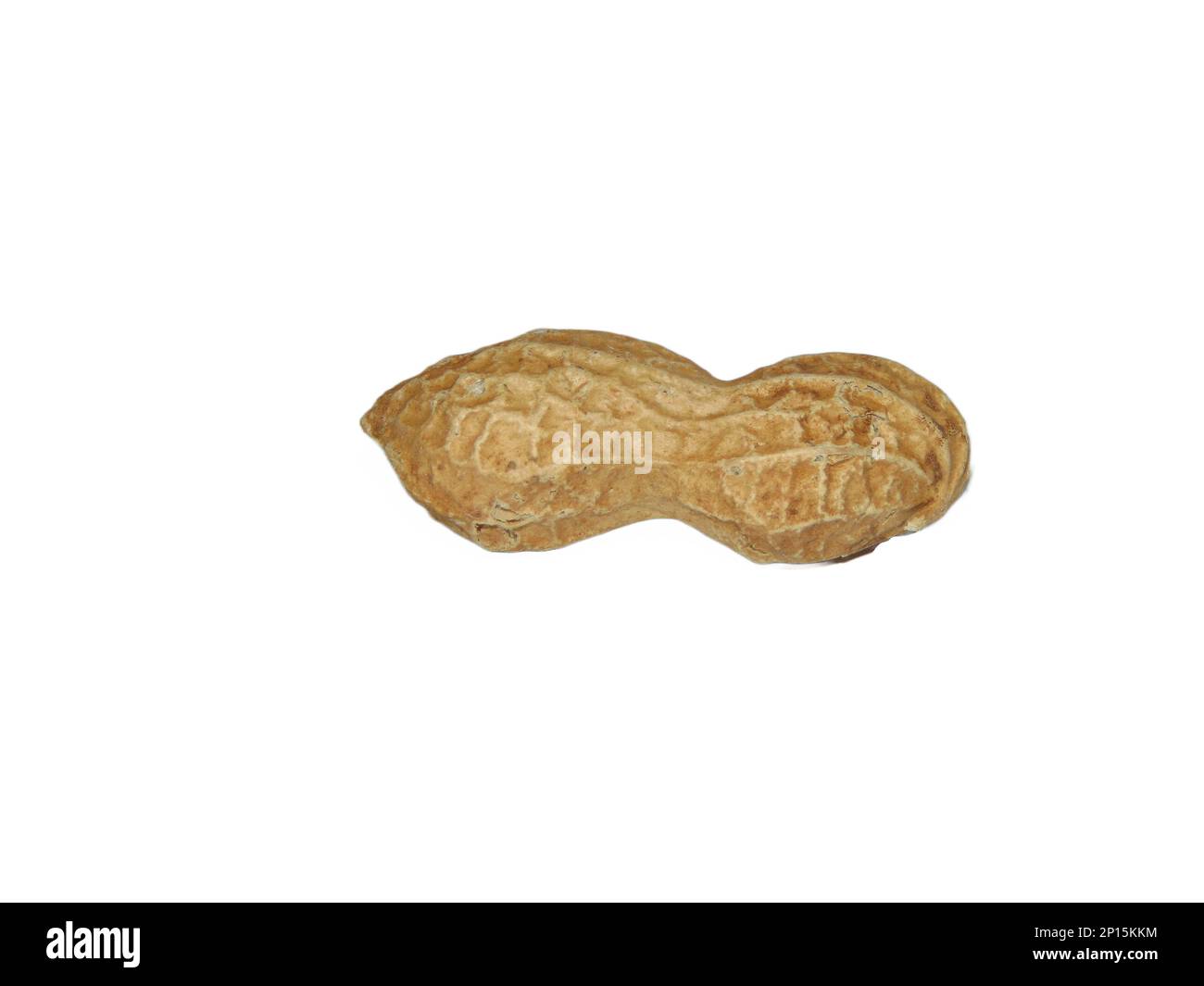 Peanuts in shell isolated on white background Stock Photo - Alamy
