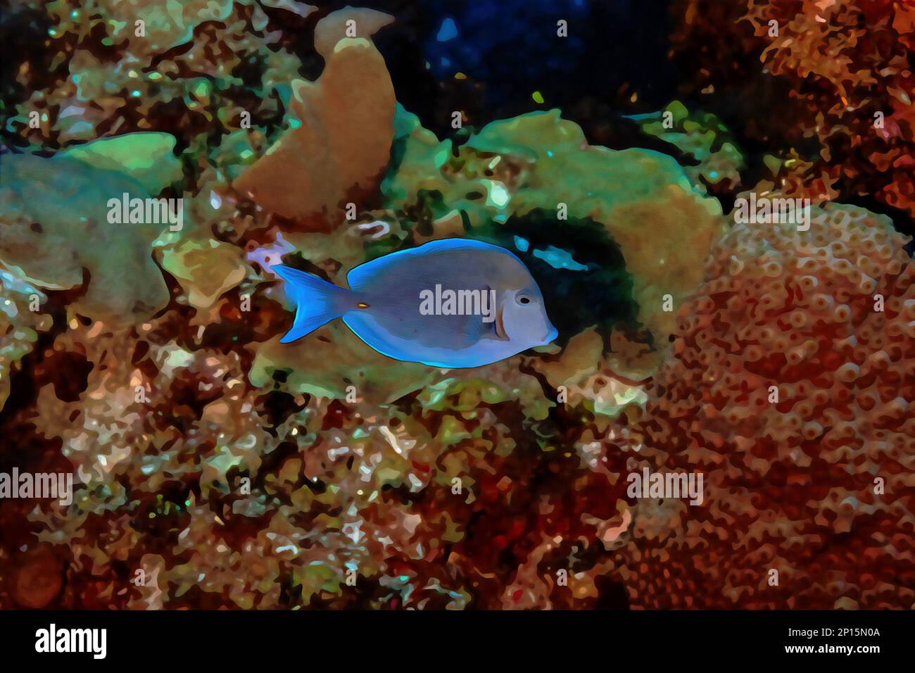 Digitally created watercolor painting of Blue tang surgeonfish ...