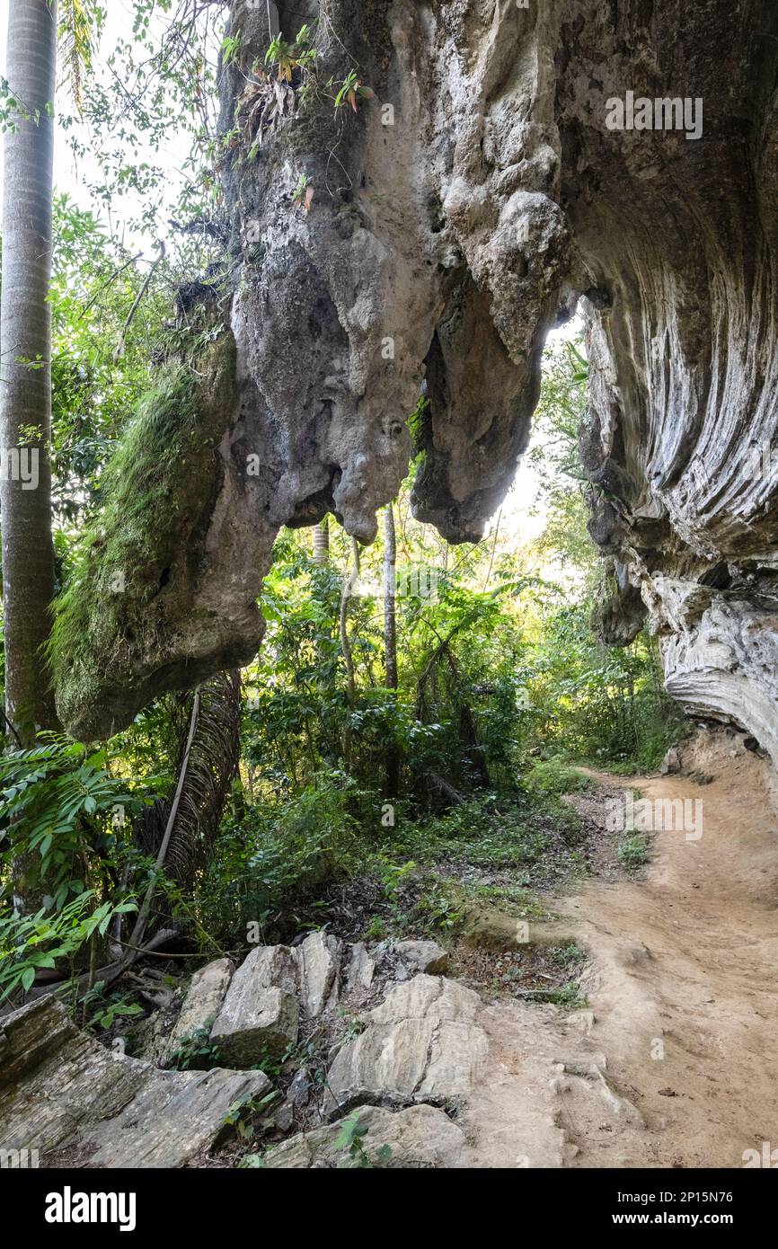 Rock formations on the hiking trail to Salto del Caburní, Trinidad ...