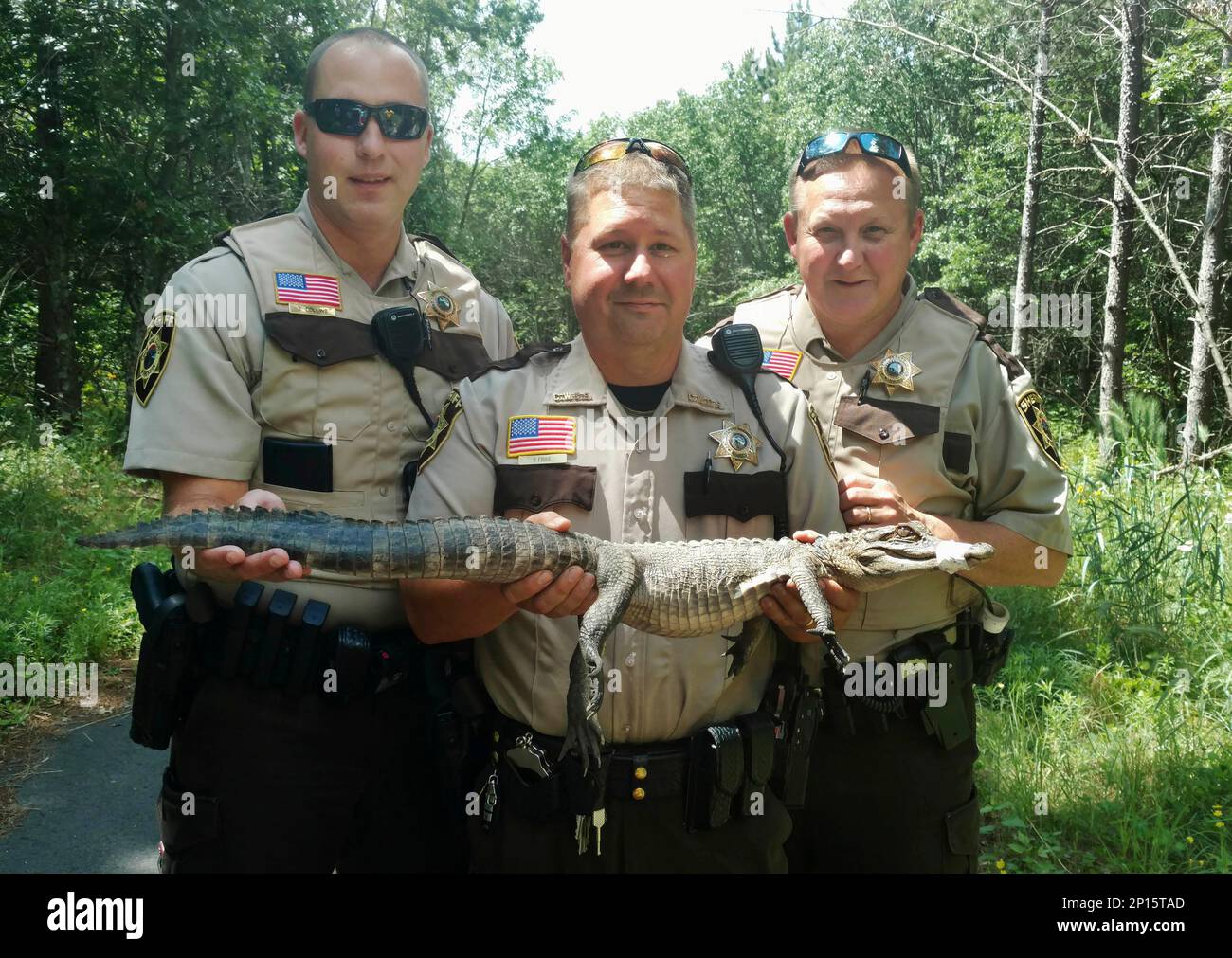In this July 9, 2016 photo provided by the Crow Wing County Sheriff's ...