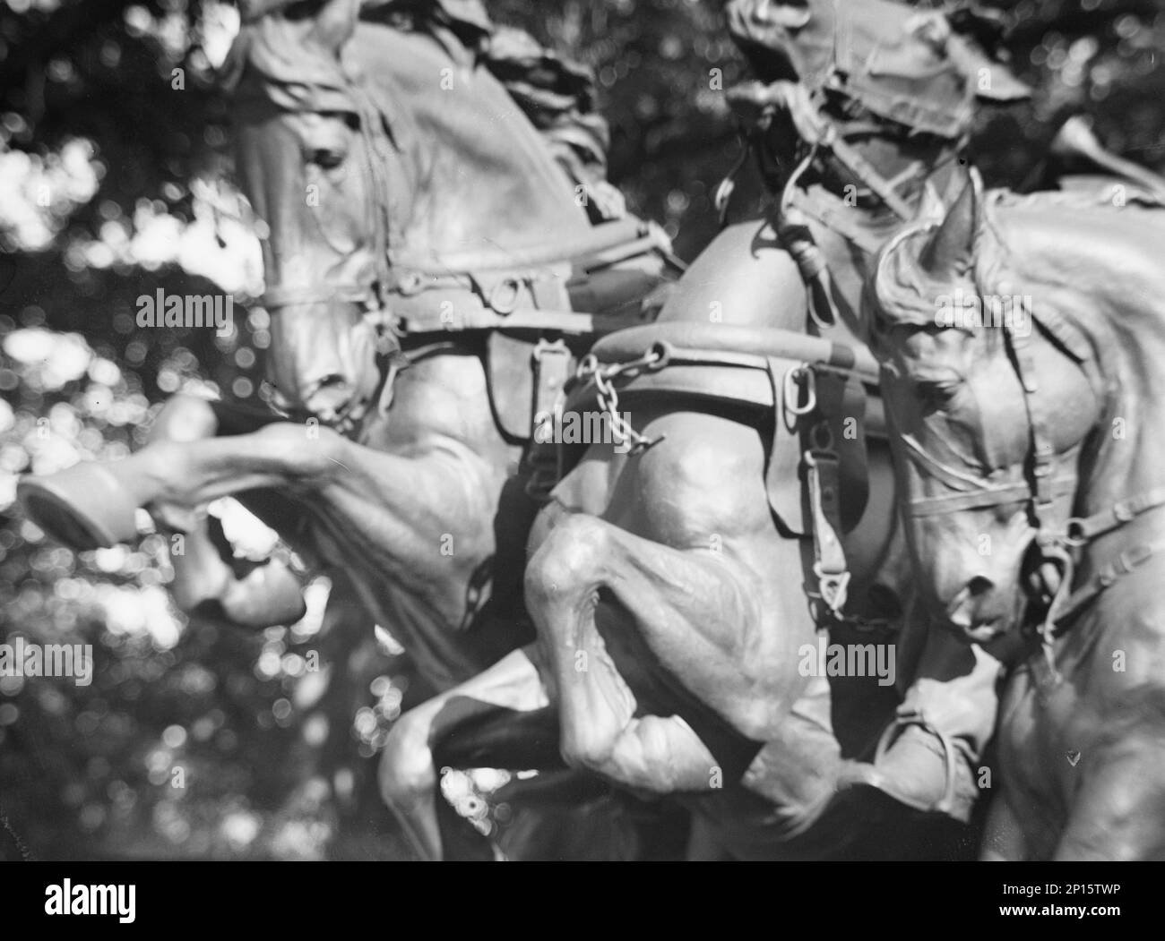 Equestrian statues in Washington, D.C., between 1911 and 1942. Detail ...