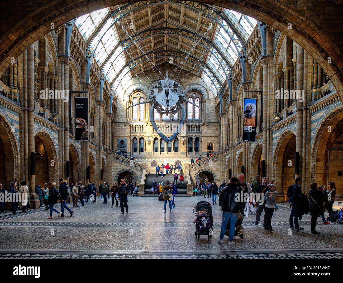 A General View Of The Hintze Hall Inside The Natural History Museum