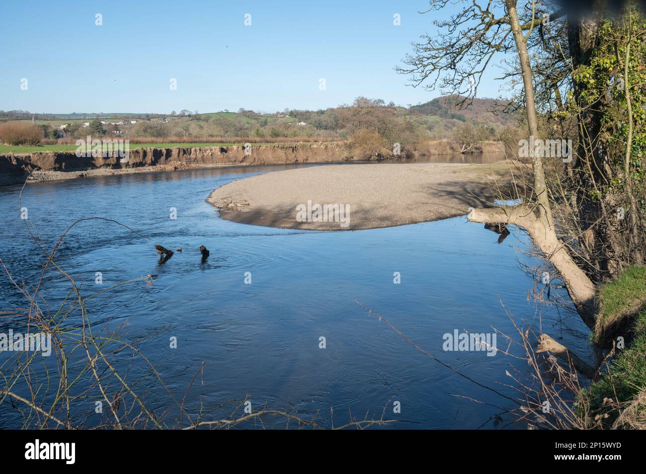 Gravel bar and eroding mud bank on the River Towy Stock Photo - Alamy